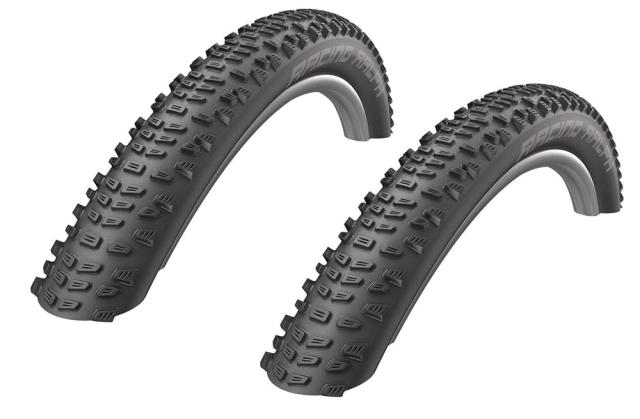 2本セット SCHWALBE　Racing Ralph  TLR Addix Performance  MTBタイヤ 29x2.25(57-622