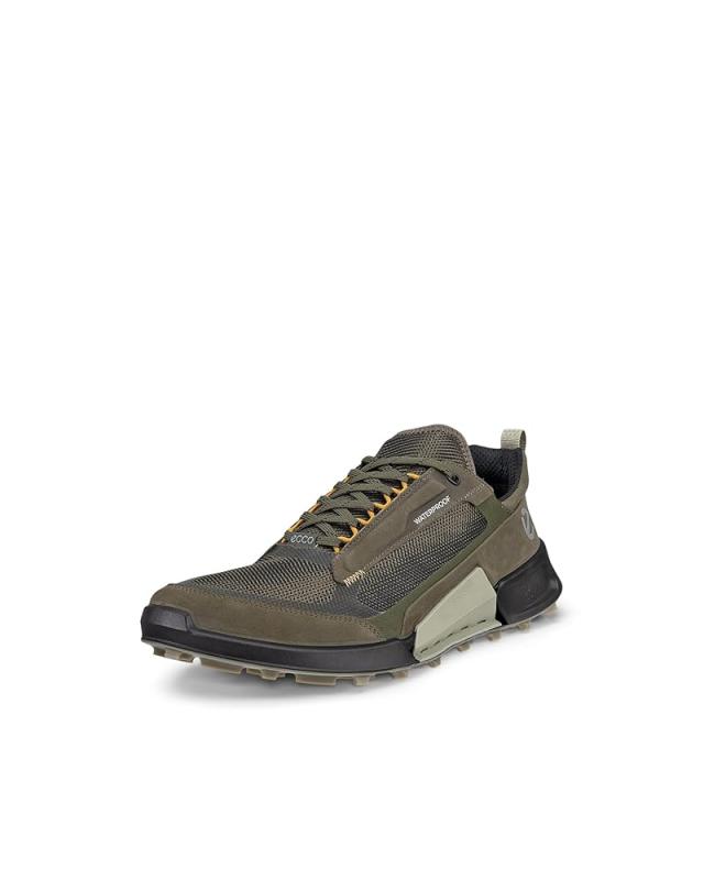 [エコー] スニーカー バイオム 2.1 クロス マウンテン メンズ GRAPE LEAF/TARMAC/BLACK 26.0 cm 3E