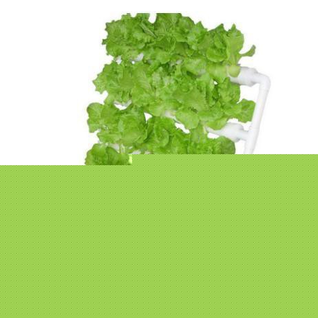 水耕栽培キット すいこう栽培キット 野菜 栽培キット 室内 いちご 家庭菜園 水耕栽培セット プランター 36穴