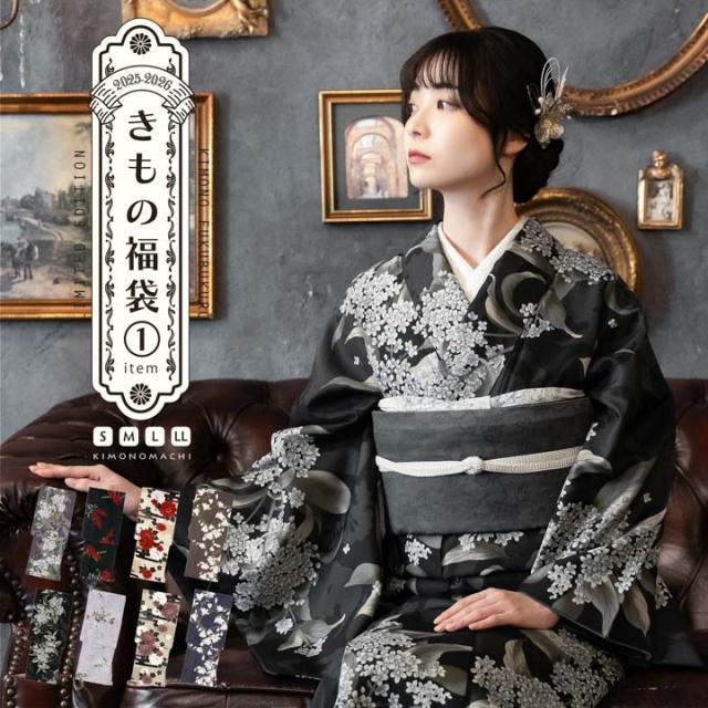 【2025-2026年新作】洗える着物 袷 単品「袷着物単品 全8柄」着物　きもの福袋から飛び出た着物単品サイズS/M/L/LL【メール便不可】KIMONOMACHI オリジナル ss2509kck10