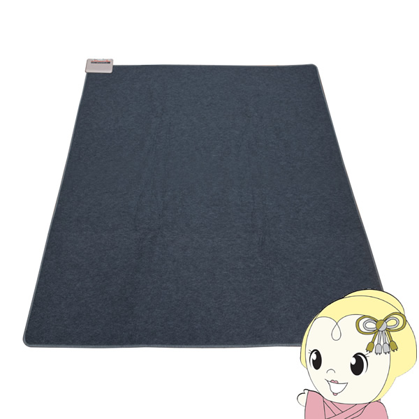 TEKNOS 防音厚手ホットカーペット 3畳 本体 195×235cm TWB-3500J 折り畳み収納 ダニ退治 暖房面積切替 日本製