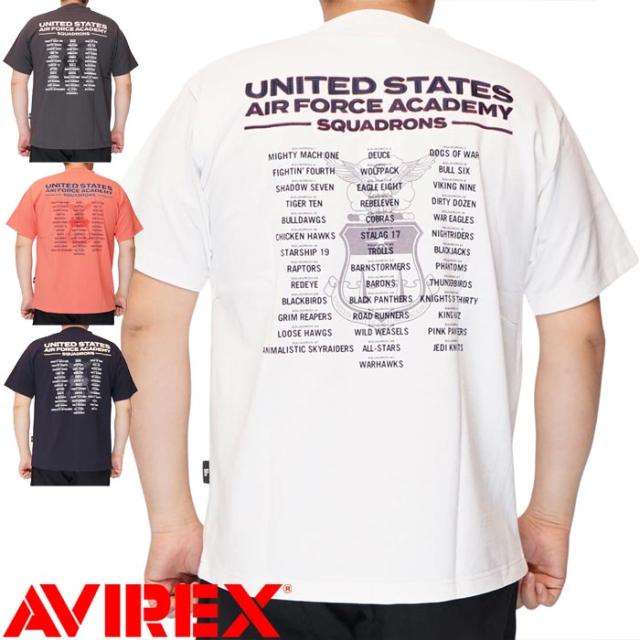 AVIREX アビレックス アヴィレックス Tシャツ 半袖 メンズ USAFA SQUADRONS EMBROIDERY T-SHIRT 783-5134014 送料無料