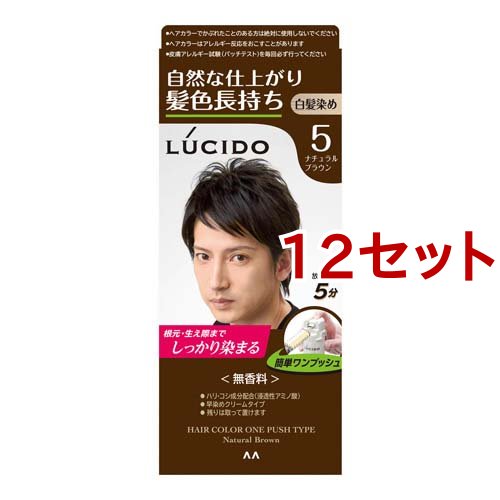 ルシード ワンプッシュケアカラー 5 ナチュラルブラウン(50g+50g*12セット)[白髪染め 男性用]