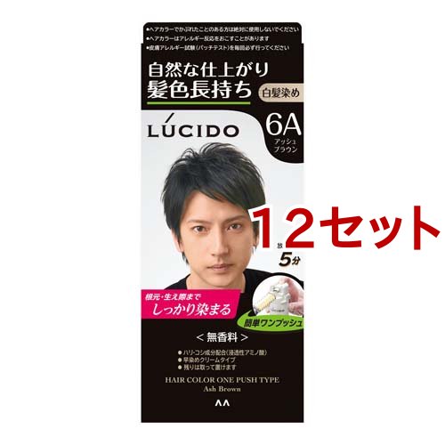 ルシード ワンプッシュケアカラー アッシュブラウン(50g+50g*12セット)[白髪染め 男性用]