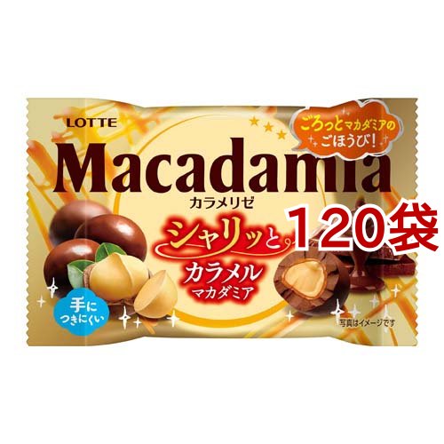 マカダミアチョコレートポップジョイ カラメリゼ(34g*120袋セット)[チョコレート]