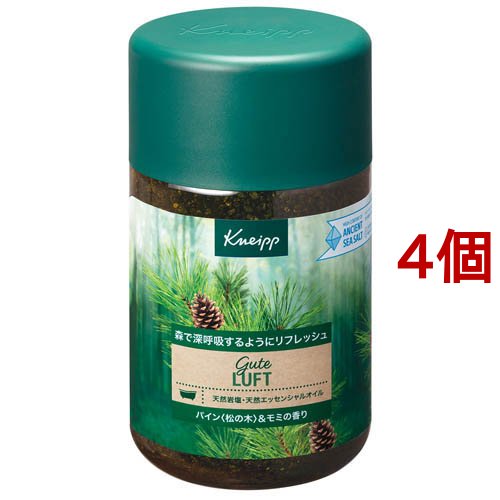 クナイプ グーテルフトバスソルト パイン＆モミの香り(850g*4個セット)[バスソルト]