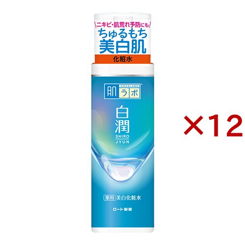 肌研(ハダラボ) 白潤 薬用美白化粧水(170ml×12セット)[高保湿化粧水]