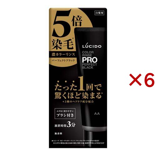 ルシード カラーリンスPRO パーフェクトブラック(120g×6セット)[白髪染め 男性用]