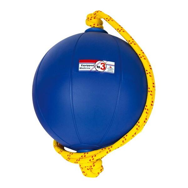 ニシスポーツ スウィングメディシンボール 3kg F 960 T5913