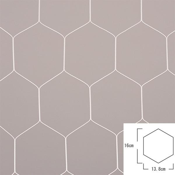 EVERNEW エバニュー EKD848 一般サッカーゴールネット亀甲S117