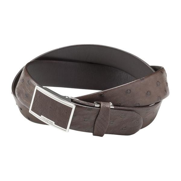 GOLD PFEIL ゴールドファイル オーストリッチベルト チョコ GBC1450