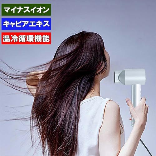 enas イーネーズ Caviar Dryer キャビアドライヤー ECDR1301 ECDR1301