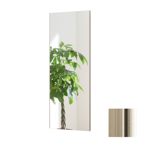 リフェクス 軽くて割れないミラー 鏡 吊式姿見 シャンパンゴールド REFEX 【代引不可/北海道・沖縄・離島配送不可】