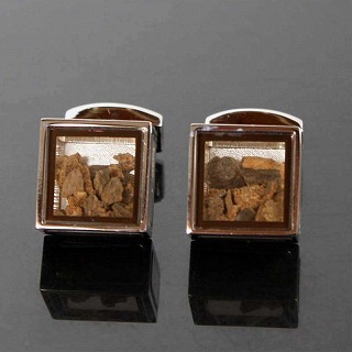 【タテオシアン】恐竜の骨カフス