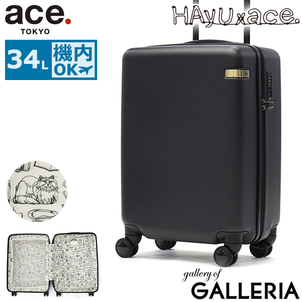【商品レビューで＋5％】もれなくメモ帳プレゼント【正規品10年保証】 エーストーキョー スーツケース 機内持ち込み ace.TOKYO キャリーケース 34L 3〜4泊 HAyU パキラ 05781