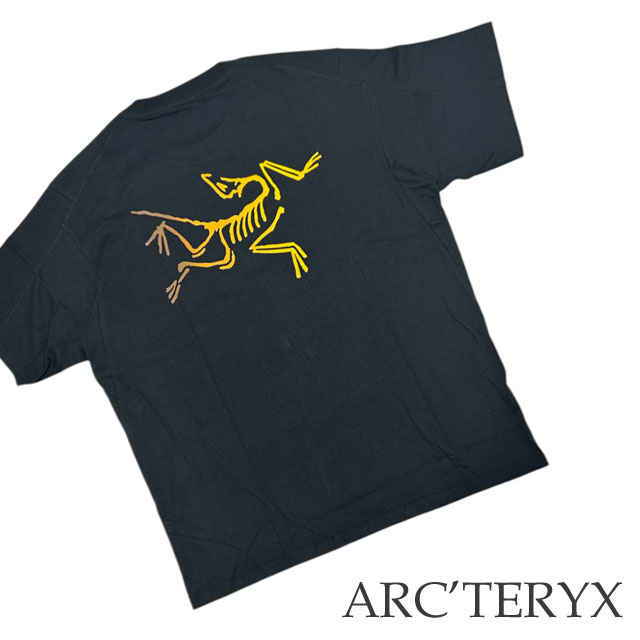 新品 アークテリクス ARCTERYX Kragg Cotton Logo SS M Tシャツ X000008464 アウトドア キャンプ クライミング 登山 通勤 ビジネス 半袖Tシャツ