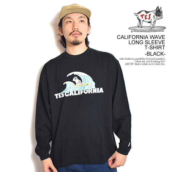 The Endless Summer エンドレスサマー TES CALIFORNIA WAVE LONG SLEEVE T-SHIRT -BLACK- メンズ Tシャツ 長袖 atftps