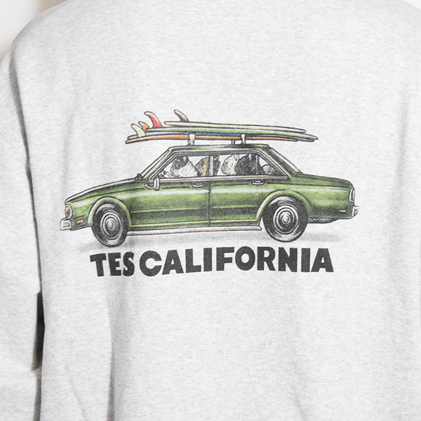 The Endless Summer エンドレスサマー TES 4 BUHI CHASING THE WAVES SWEAT PARKA -MIX GRAY- メンズ パーカー atftps