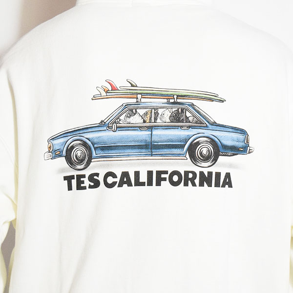 The Endless Summer エンドレスサマー TES 4 BUHI CHASING THE WAVES SWEAT PARKA -WHITE- メンズ パーカー atftps