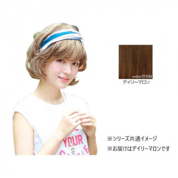 プリシラ オールウィッグ クラシカルボブ A-664 耐熱　TDM・デイリーマロン 【北海道・沖縄・離島配送不可】