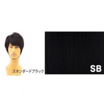 プリシラ MANオールウィッグ ナチュラルショートミディ MA-101 耐熱　SB・スタンダードブラック 【北海道・沖縄・離島配送不可】