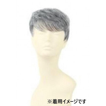 プリシラ  男性用5分ウィッグ ボリュームショート 耐熱 グレイヘア GB-23-TGH 【北海道・沖縄・離島配送不可】