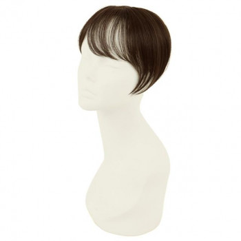 プリシラ プレミアム白髪かくしウィッグ ナチュラルショートタイプ ナチュラルブラック ST-009-2N 【北海道・沖縄・離島配送不可】