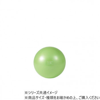 ダンノ(DANNO) ギムニクカラーボールPLUS　65(ライムグリーン)　D5422LMG 【北海道・沖縄・離島配送不可】