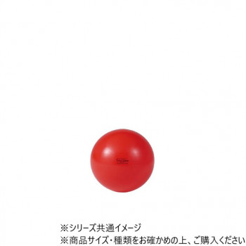 ダンノ(DANNO) ギムニク カラーボール 55　D5431 【北海道・沖縄・離島配送不可】