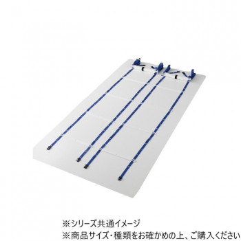 DANNO ダンノ ラダーL550(2本1組) D5307 【北海道・沖縄・離島配送不可】