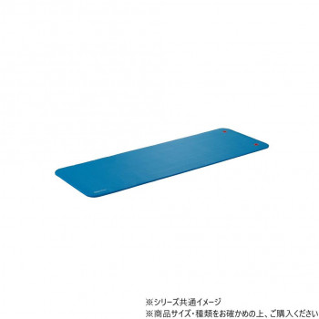 DANNO ダンノ ストレッチマットEX ブルー D7217B 【北海道・沖縄・離島配送不可】