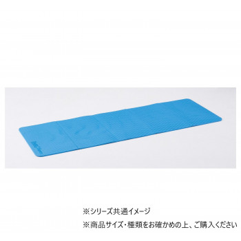 DANNO ダンノ EVAキャリーマット 折畳みマット D7249 【北海道・沖縄・離島配送不可】