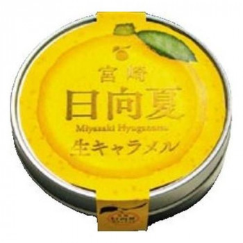 響 宮崎日向夏生キャラメル 12粒×60個 【北海道・沖縄・離島配送不可】