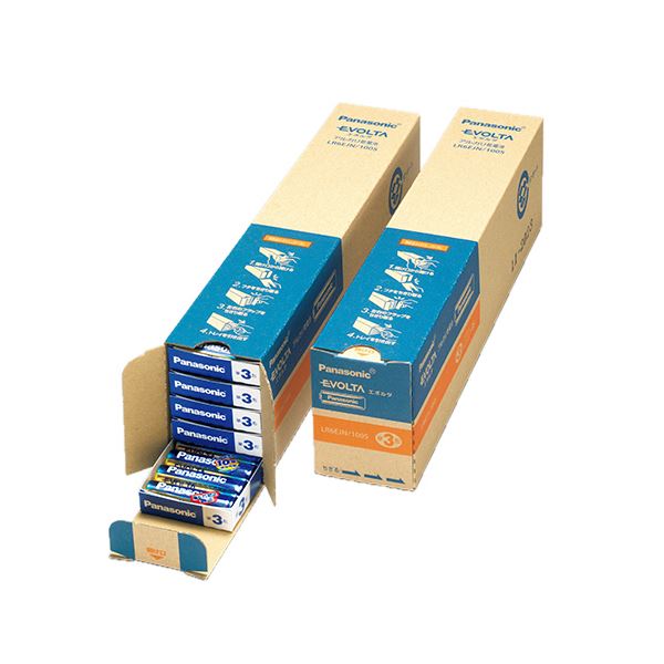 パナソニック アルカリ乾電池EVOLTA 単3形 業務用パック LR6EJN/100S 1セット(200本:100本×2箱) 【北海道・沖縄・離島配送不可】