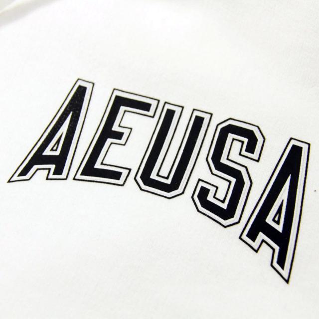 アメリカンイーグル AMERICAN EAGLE 正規品 メンズ 裏起毛 コットン