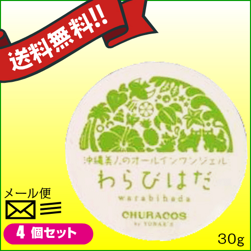 わらびはだ 30g 4個セット