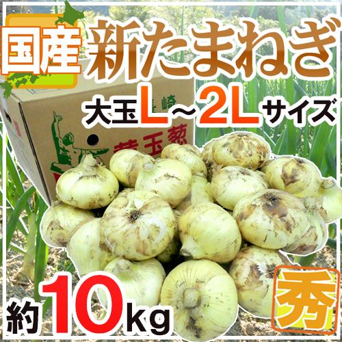 ”新たまねぎ” 秀品 L/2Lサイズ 約10kg 九州・四国・淡路・北海道 産地厳選【予約 入荷次第発送】 送料無料の通販はau PAY ...