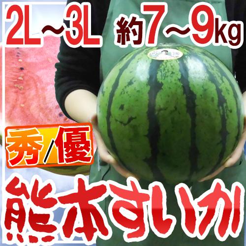 熊本県産 ”熊本すいか” 秀・優品 2L〜3Lサイズ 約7kg〜9kg【予約 4月以降】 送料無料の通販はau PAY マーケット - くらし快援隊 | au PAY マーケット－通販サイト