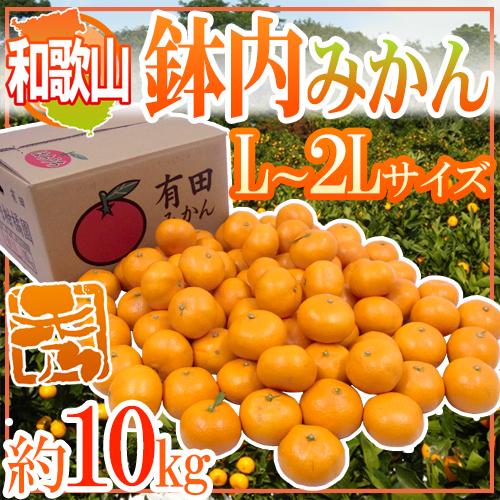 和歌山・有田産 ”鉢内みかん” 秀品 L〜2Lサイズ 約10kg はちうちみかん【予約 11月末以降】 送料無料の通販はau PAY マーケット - くらし快援隊 | au PAY マーケット ...