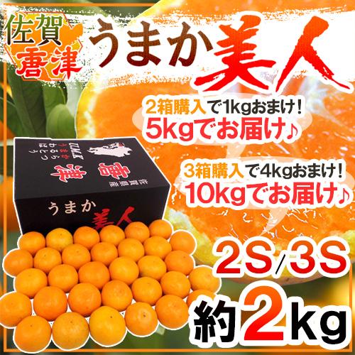 佐賀県 JAからつ ”うまか美人みかん” 2S/3Sサイズ 約2kg《2箱購入で1kgおまけ、3箱購入で4kgおまけ》【予約 11月中旬以降】 送料無料の通販はau PAY マーケット ...