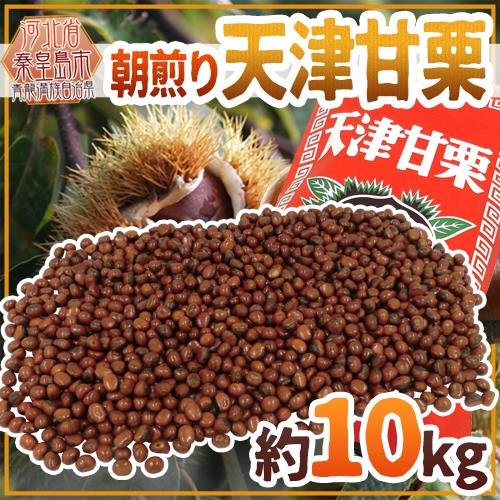 焼きたて・炒りたてを当日発送！ ”天津甘栗” 約10kg バラ《専用袋付き》イベント・お祭り・学園祭・社内行事に♪【予約 10月中旬以降】 送料無料