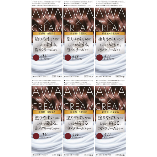 ビゲン 泡クリームカラー 4Wモーヴブラウン【6個セット】(4987205011894-6)