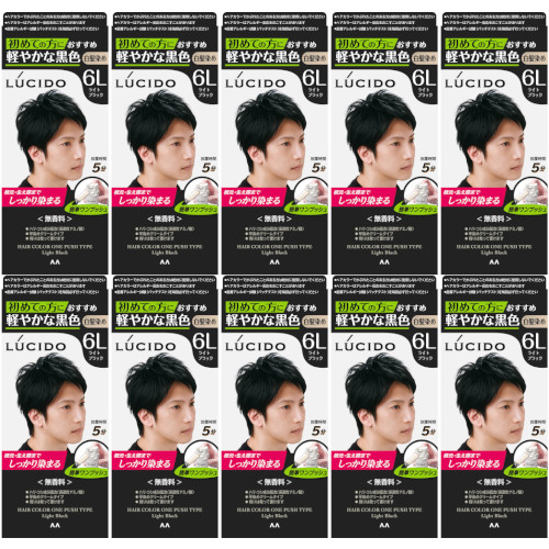 ルシード ワンプッシュケアカラー 6Lライトブラック【10個セット】(4902806125689-10)