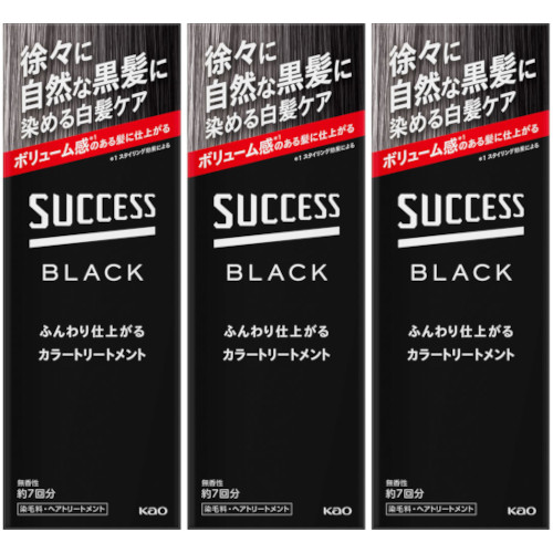 【3個セット】サクセスブラック ふんわり仕上がるカラートリートメント 本体 155g(4901301434241-3)