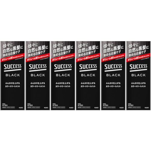 【6個セット】サクセスブラック ふんわり仕上がるカラートリートメント 本体 155g(4901301434241-6)