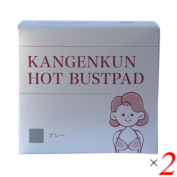 【BIGお買い物ラリー！ポイント最大+11%】還元くんホットバストパット(1箱3組入り) 2個セット バストパッド ブラパッド レモン型 送料無料