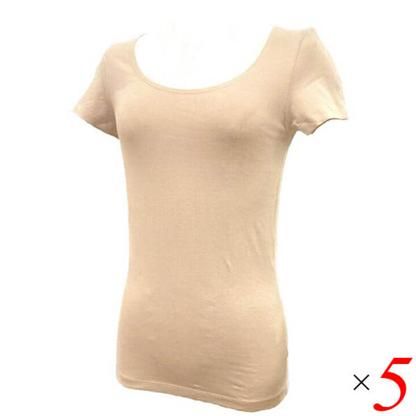 【BIGお買い物ラリー！ポイント最大+11%】DEO's コンプリート消臭インナー レディース モカ 5枚セット 脇汗 消臭 Tシャツ 送料無料