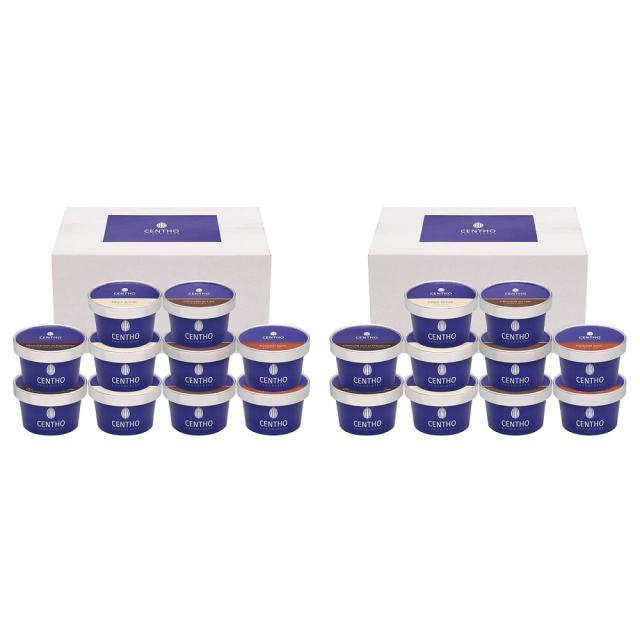 セントー ショコラティエのアイスアソート AH-CTB 4820-472 アイスクリーム ギフト のし無料 内祝い 贈り物 お取り寄せスイーツ 産直 お中元 夏ギフト 父の日 母の日 暑中見舞い 敬老の日 お歳暮 お年賀 食品 お礼 プレゼント 食べ物 贈答品 【送料無料】