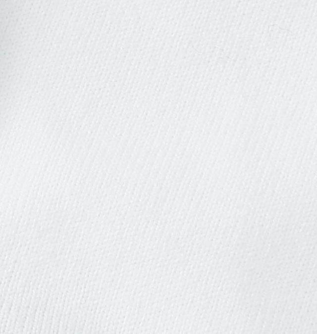 大きいサイズ FLAGSTAFF×PEANUTS スヌーピーコラボ 半袖 Tシャツ ホワイト 3L 4L 5L 6L 8L/1278-5227-1-108