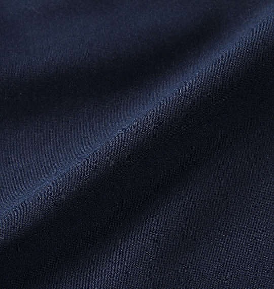 大きいサイズ arena スイムパンツ ネイビー 3L 4L 5L 6L/1274-3320-1-89